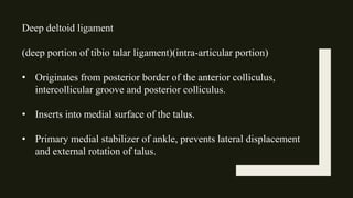 Ankle injuries | PPTX