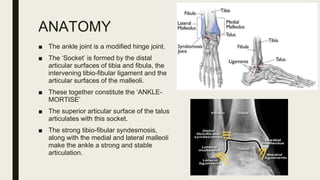 ankle injuries.pptx