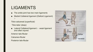 ankle injuries.pptx