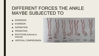 ankle injuries.pptx