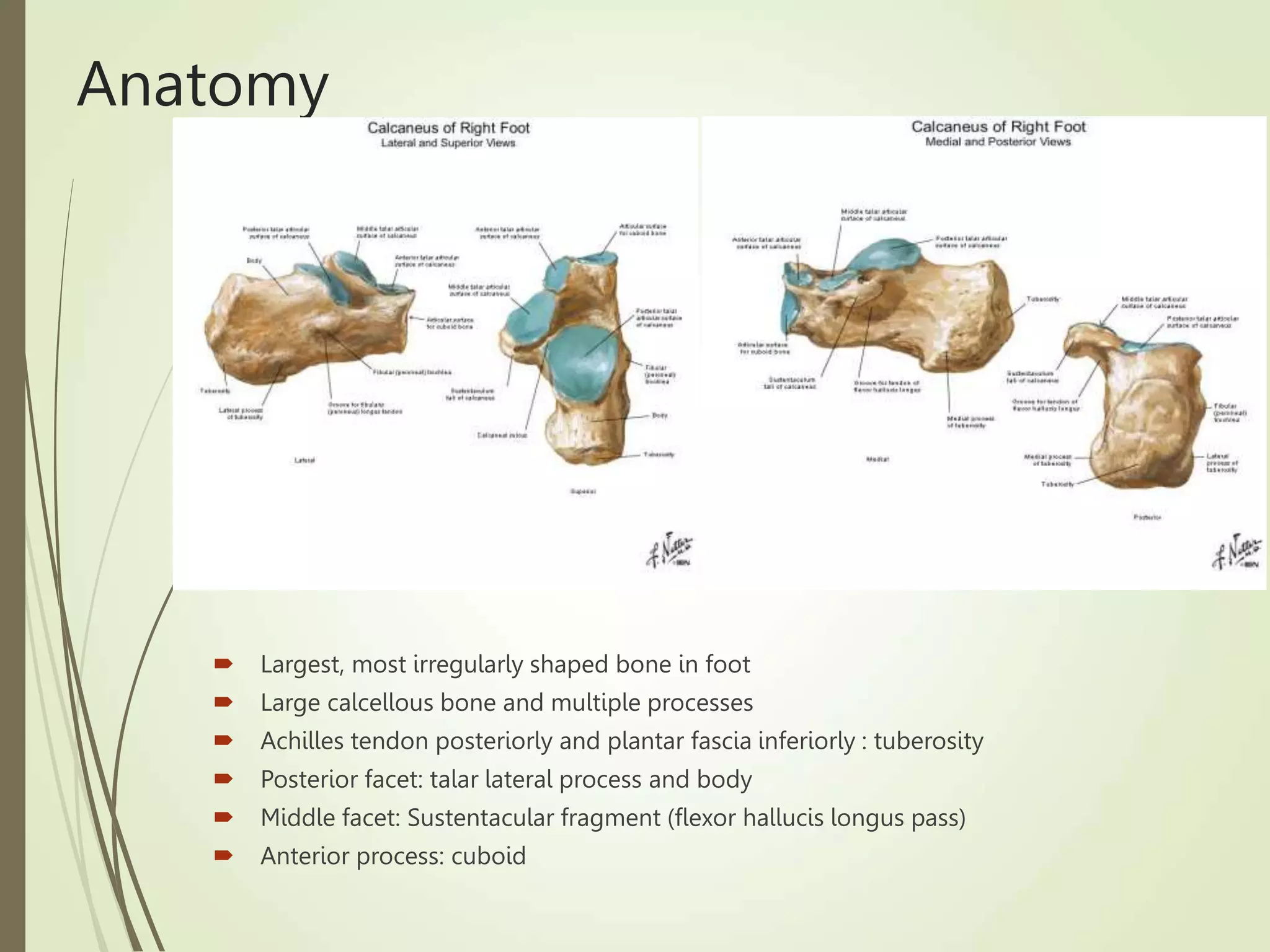 ANKLE_INJURIES.ppt