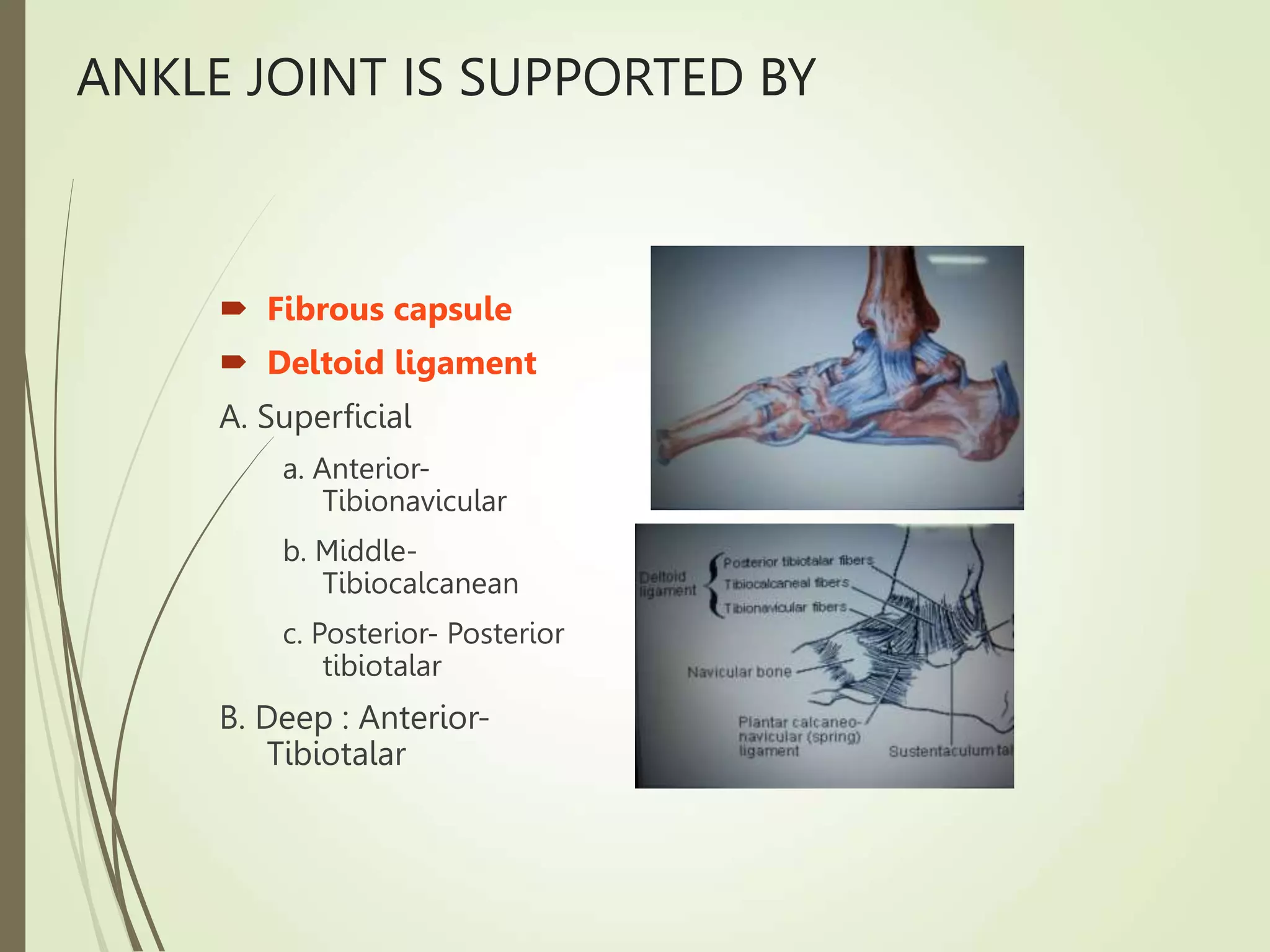 ANKLE_INJURIES.ppt