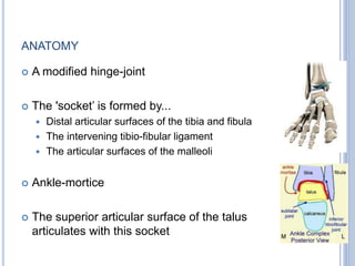 Ankle injuries - Copy.pptx