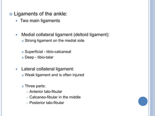 Ankle injuries - Copy.pptx