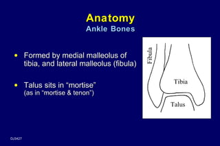 Ankle injury | PPT