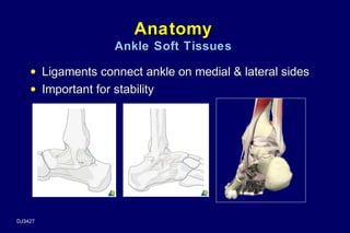Ankle injury | PPT