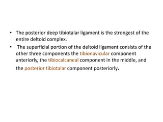 Ankle instability | PPTX