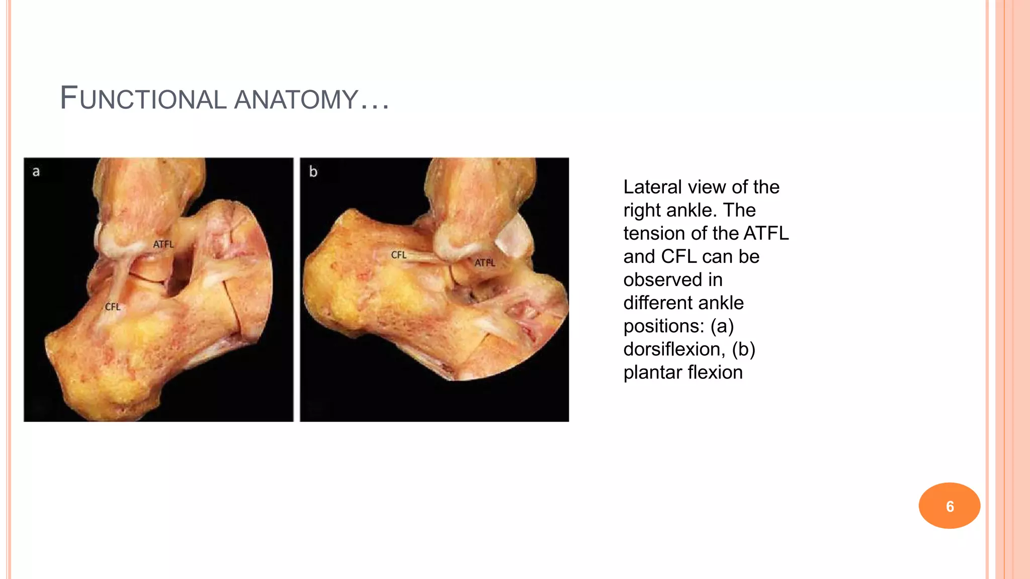 Ankle instability | PPTX