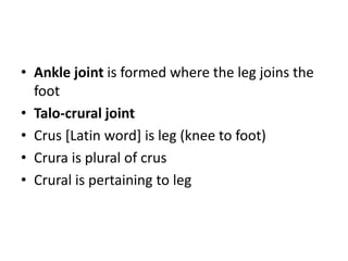 Ankle joint | PPTX