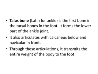Ankle joint | PPTX