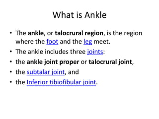Ankle joint | PPTX