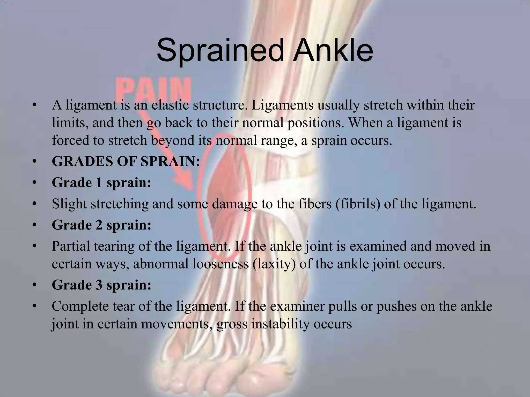 Ankle joint | PPTX