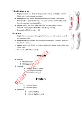 Ankle joint | PDF