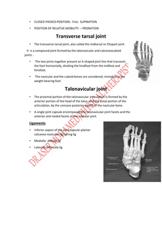 Ankle joint | PDF