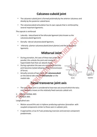Ankle joint | PDF