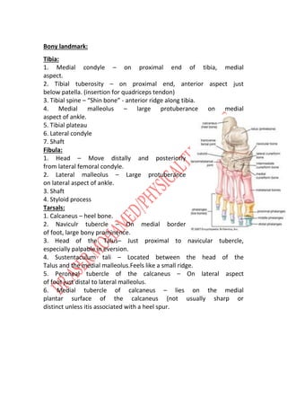 Ankle joint | PDF
