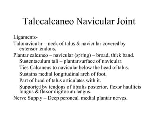 Ankle joint | PPT