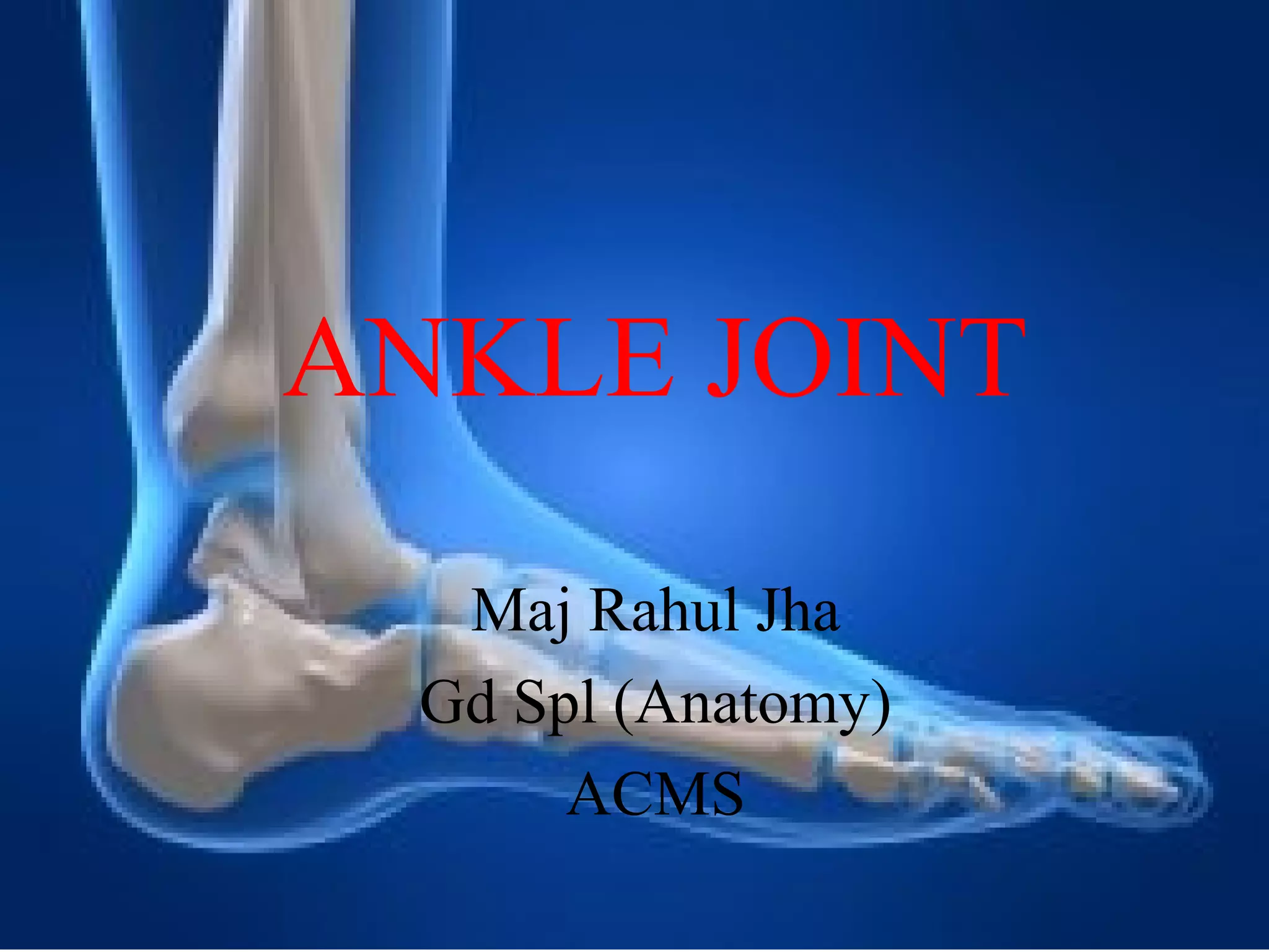 Ankle joint | PPT