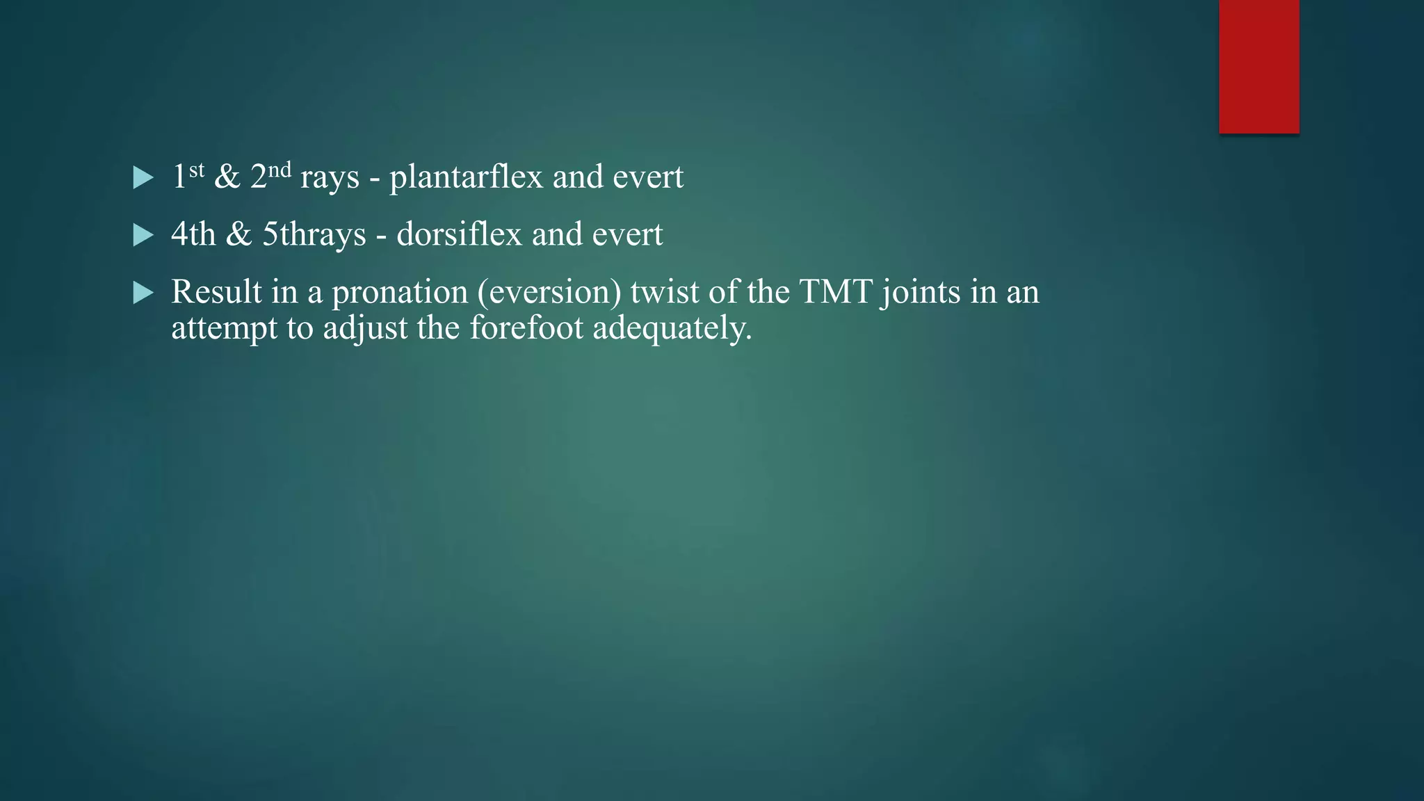 biomechanics of tarsometatarsal joint, metatarsophalangeal joint ...