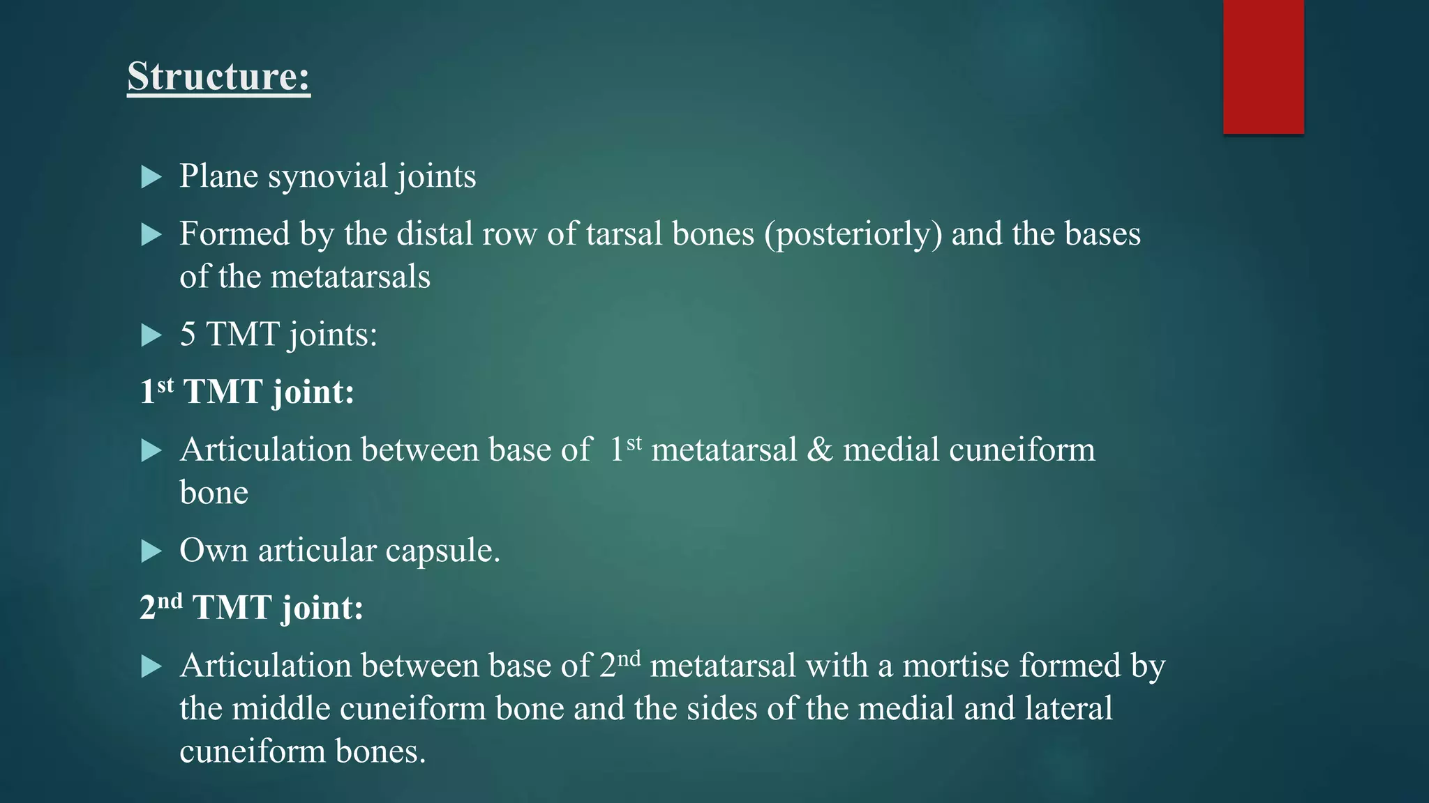 biomechanics of tarsometatarsal joint, metatarsophalangeal joint ...
