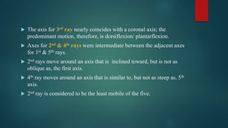 biomechanics of tarsometatarsal joint, metatarsophalangeal joint ...