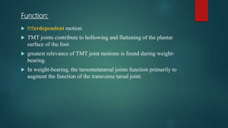 biomechanics of tarsometatarsal joint, metatarsophalangeal joint ...