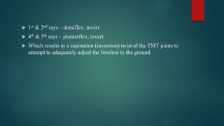 biomechanics of tarsometatarsal joint, metatarsophalangeal joint ...