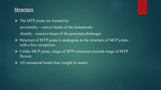 biomechanics of tarsometatarsal joint, metatarsophalangeal joint ...
