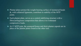 biomechanics of tarsometatarsal joint, metatarsophalangeal joint ...