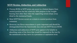 biomechanics of tarsometatarsal joint, metatarsophalangeal joint ...