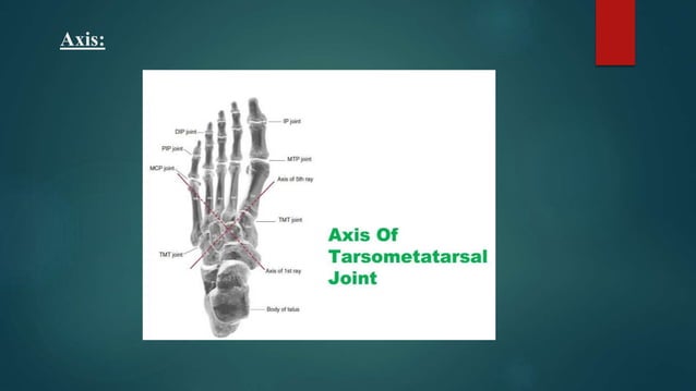 biomechanics of tarsometatarsal joint, metatarsophalangeal joint ...