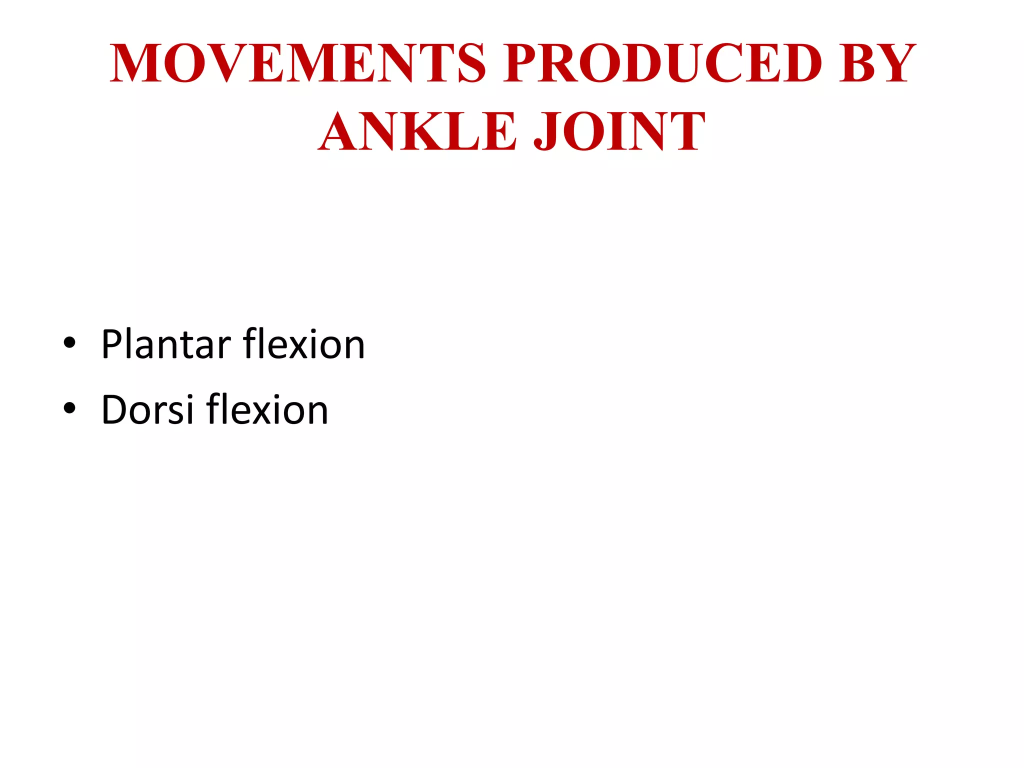 Anatomy of Ankle joint | PPTX