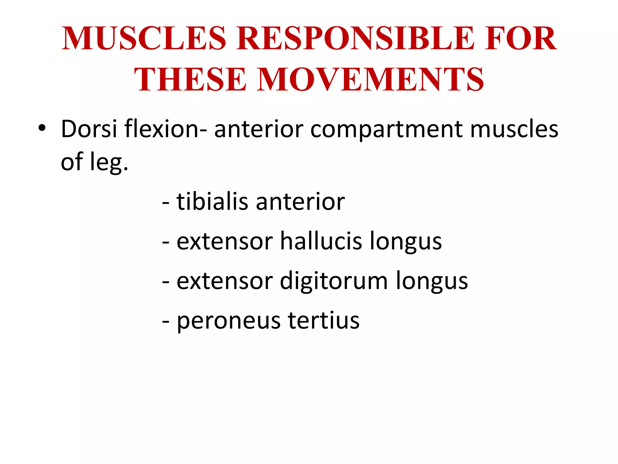 Anatomy of Ankle joint | PPTX