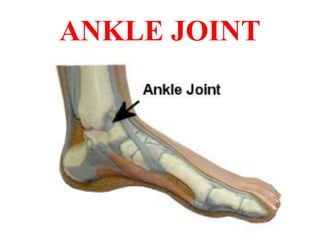 Anatomy of Ankle joint | PPTX