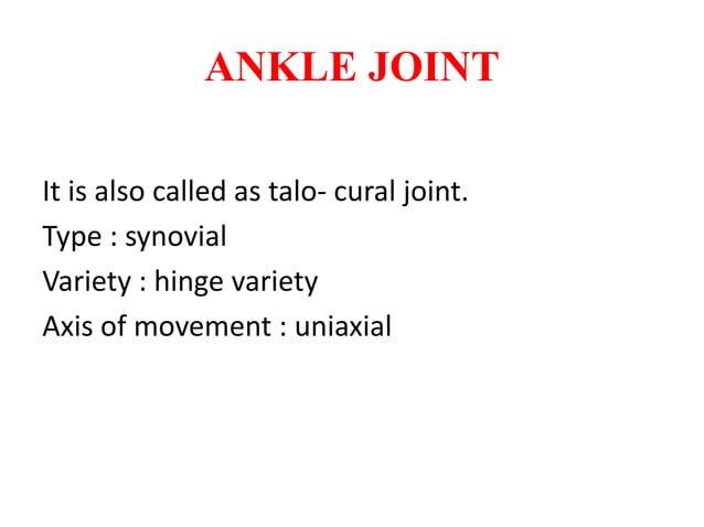 Anatomy of Ankle joint | PPT