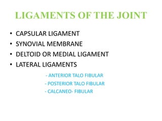 Anatomy of Ankle joint | PPTX