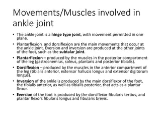 Ankle Joint.pptx