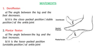 The Gross anatomy of the ANKLE JOINT.pptx with relations | PPT