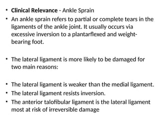 Ankle joint which are interesting to study | PPT