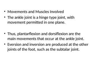 Ankle joint which are interesting to study | PPTX