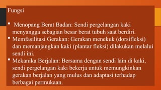 Ankle Joint teknik radiologi ankle joint | PPTX
