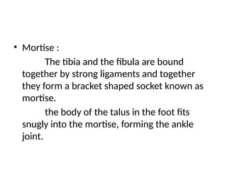 Ankle joint sharira rachana. Dr. saraswathi pptx | PPTX