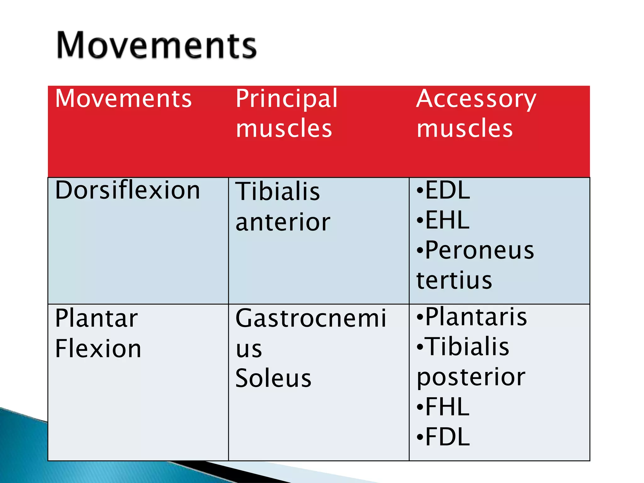 Ankle joint Anatomy.pptx