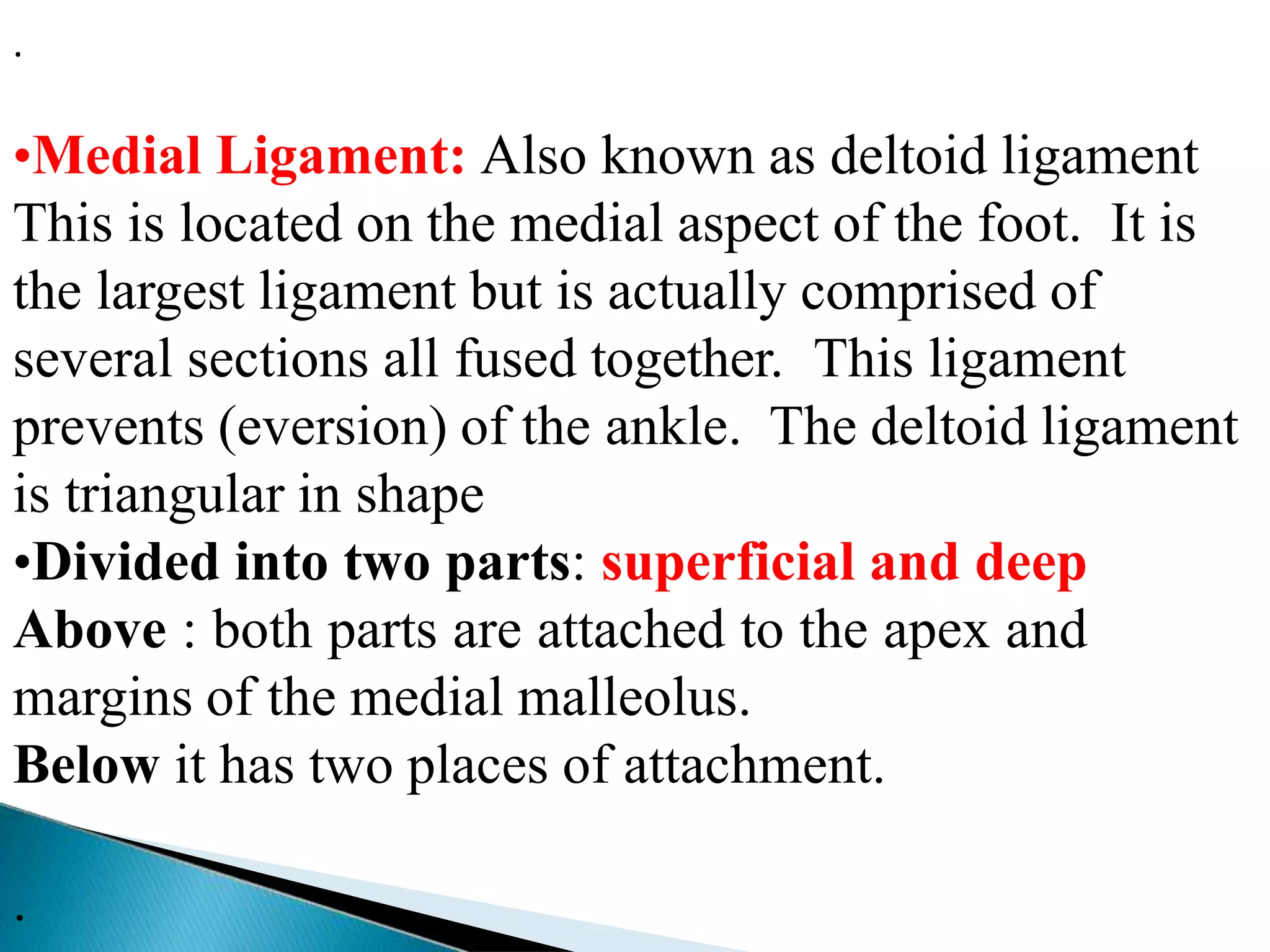 Ankle joint Anatomy.pptx