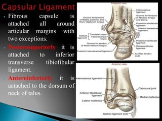 Ankle joint Anatomy.pptx | Death, Injury, or Military Conflict ...