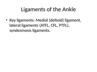 ANATOMY F THE ANKLE JOINT FOR BASIC MEDICAL EDUCATION | PPTX