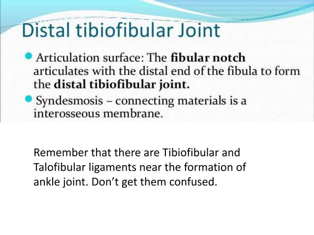Ankle joint and joints of foot | PPT
