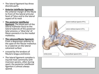 Ankle joint and joints of foot | PPTX