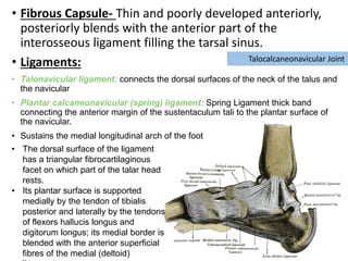 Ankle joint and joints of foot | PPTX