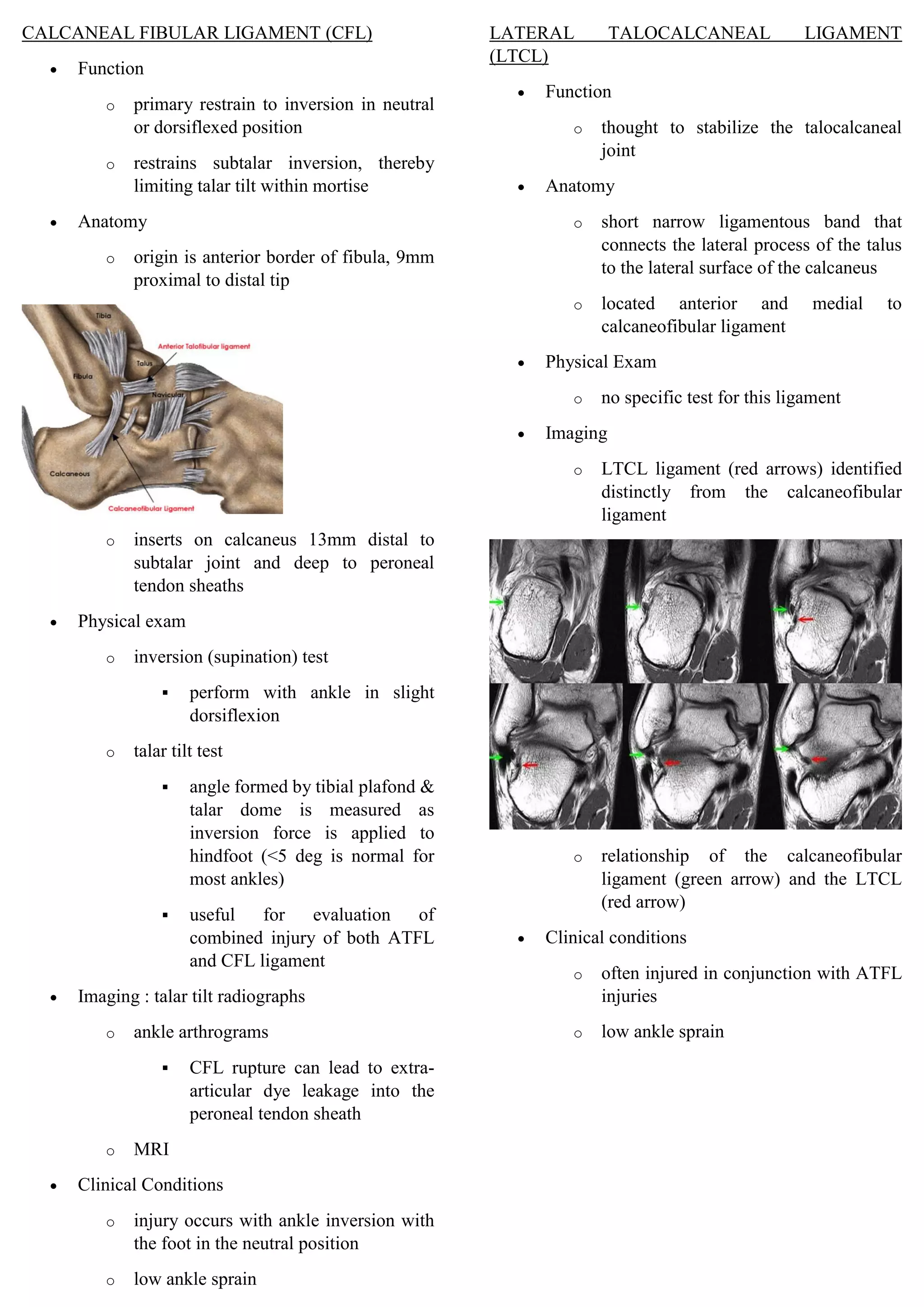Ankle joint and ligament anatomy | PDF | Death, Injury, or Military ...